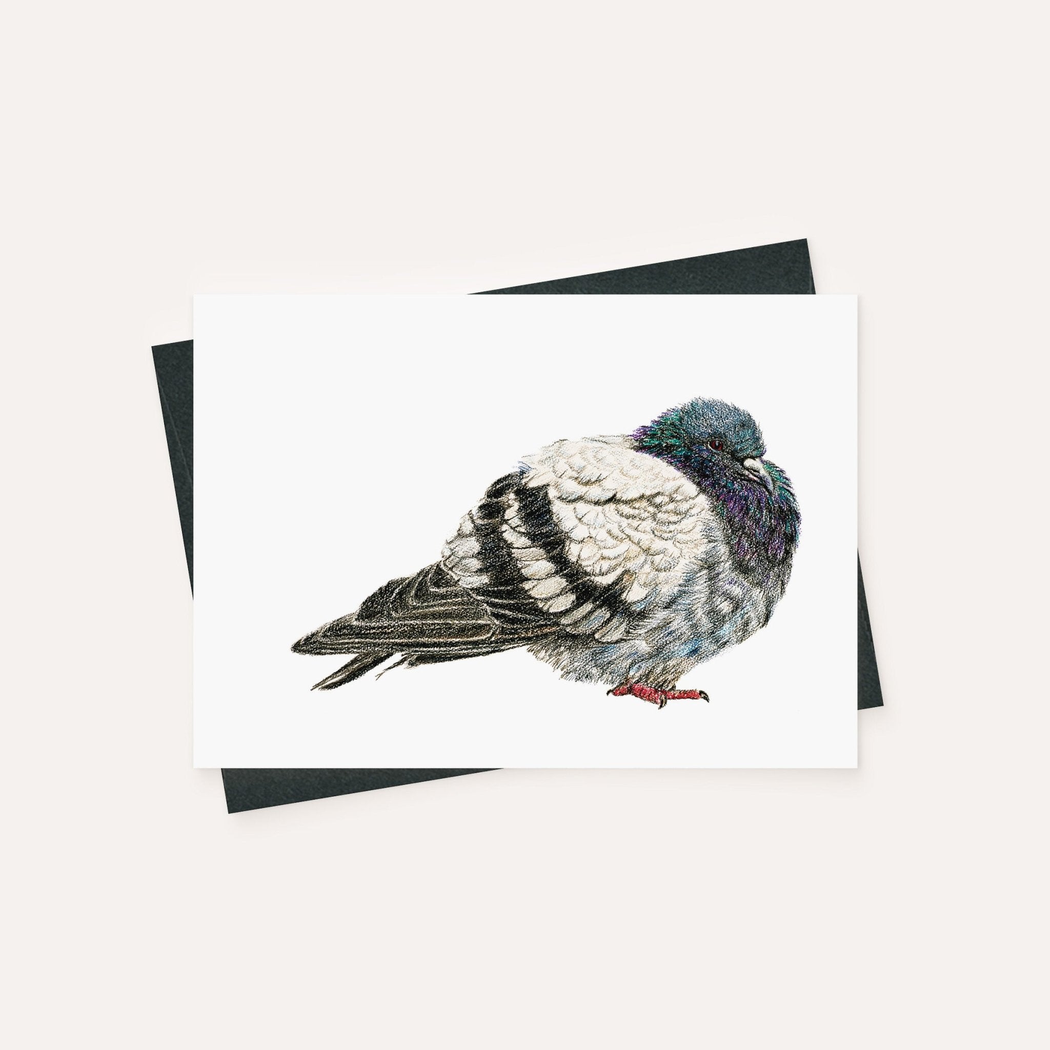 Pigeon - greeting card - LE NID atelier